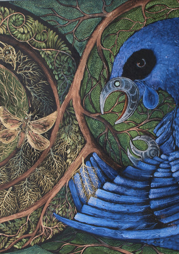 Robin Slow – Little River Gallery