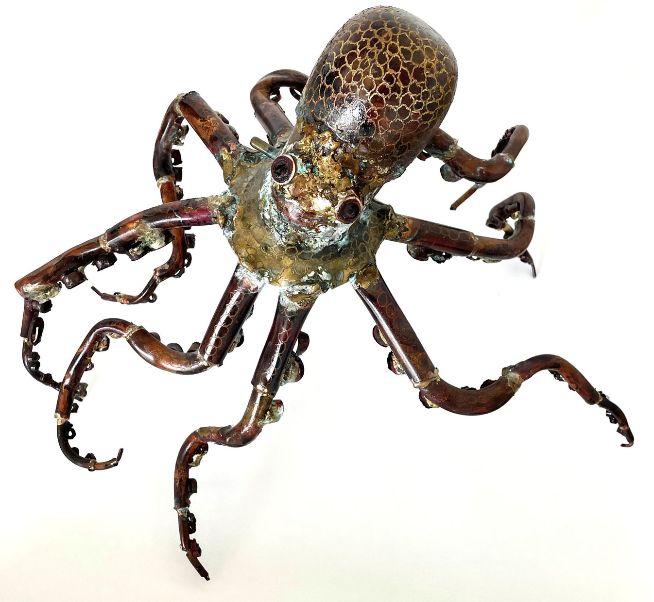 Octopus – Little River Gallery