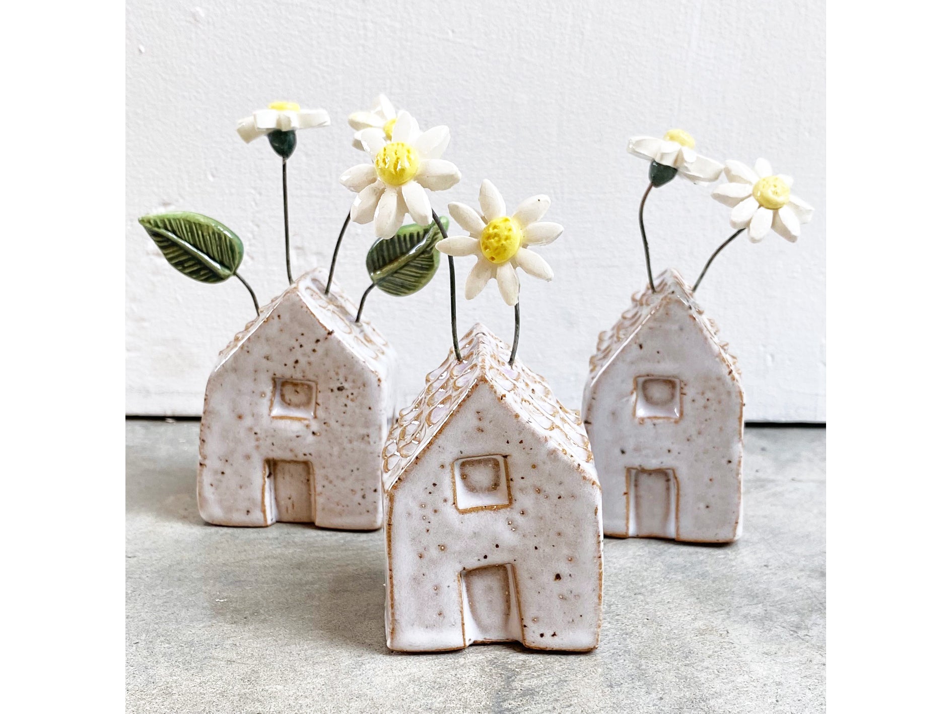 Daisy House – Little River Gallery