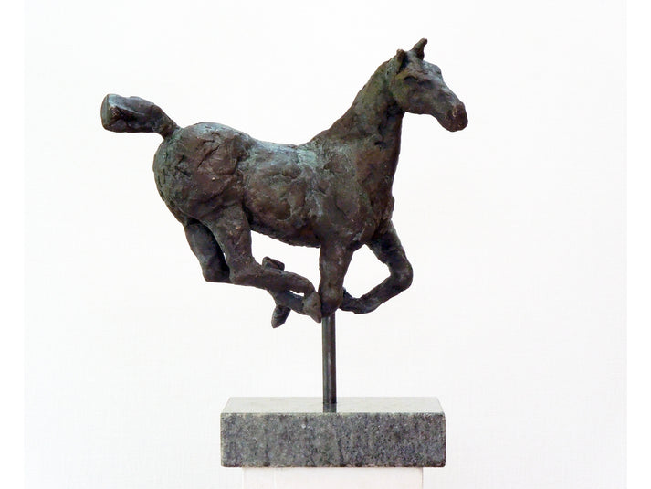 Frolic – Little River Gallery