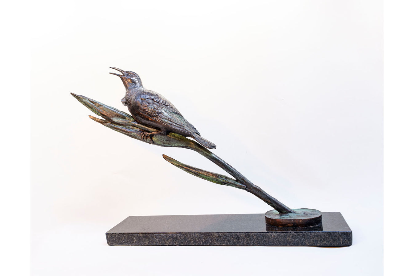 Singing Tui – Little River Gallery